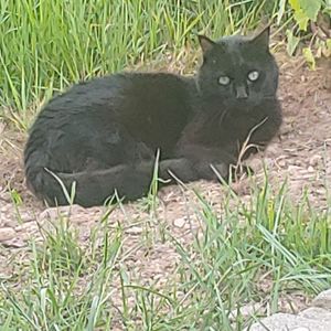 CHUCKANUT VALLEY VETERINARY CLINIC - Updated January 2026 - 12 Photos ...