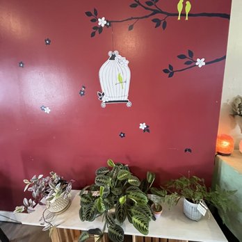 HYPER COFFEE - Updated July 2024 - 435 Photos & 446 Reviews - 203 S 1st ...