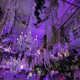 SERATA BY KING UMBERTO - Updated November 2025 - 1340 Photos & 973 ...