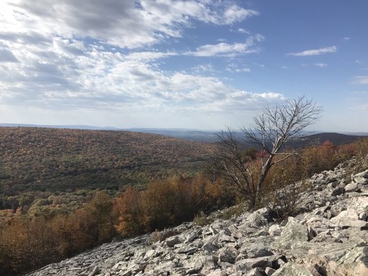 JACKSON TRAIL- ROTHROCK STATE FORREST - Updated April 2025 - 10 Photos ...