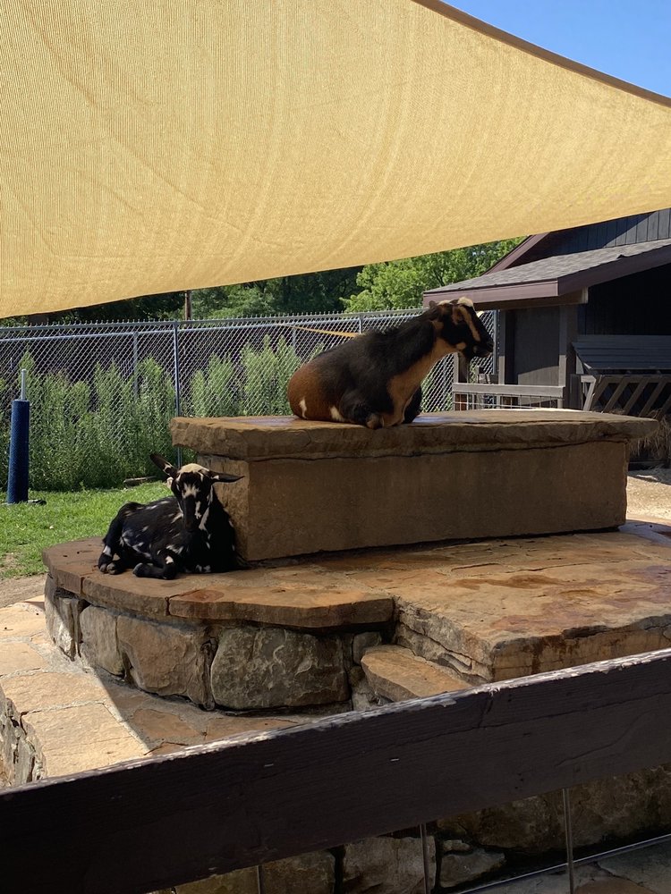 OCHSNER PARK & ZOO - 16 Photos & 19 Reviews - 903 Park St, Baraboo ...