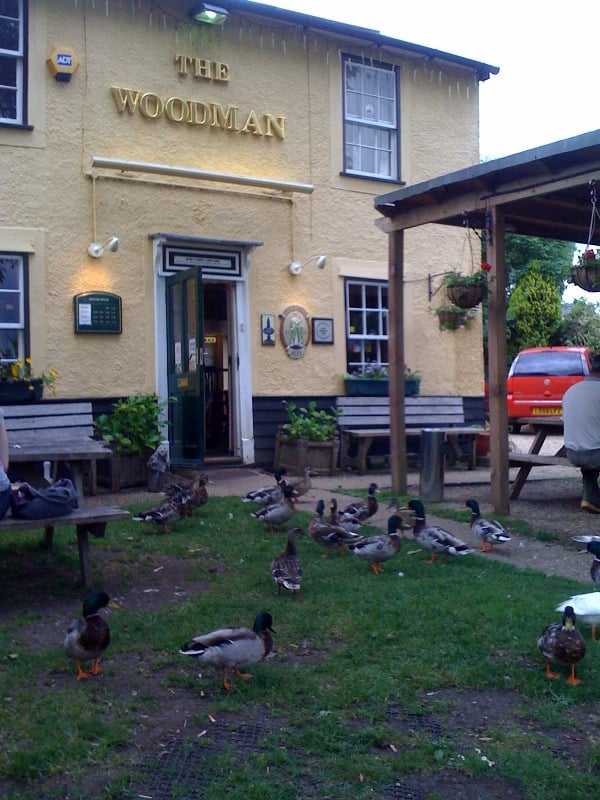 THE WOODMAN - Updated August 2024 - Ware, Hertfordshire, United Kingdom ...
