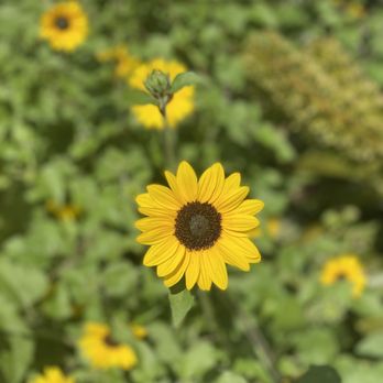 PHS MEADOWBROOK FARM - Updated October 2025 - 70 Photos & 16 Reviews ...