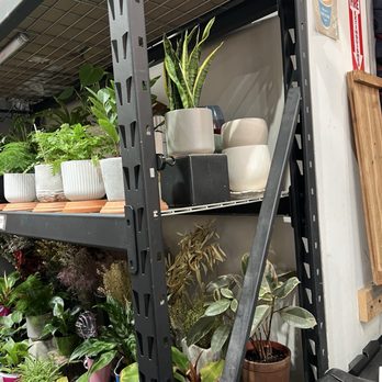 REMI43 FLOWER & COFFEE - Updated September 2025 - 427 Photos & 195 ...