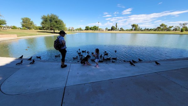 DOBSON RANCH PARK - Updated November 2025 - 236 Photos & 20 Reviews ...