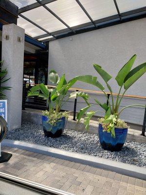 OZONA BLUE GRILLING - Updated January 2026 - 596 Photos & 741 Reviews ...