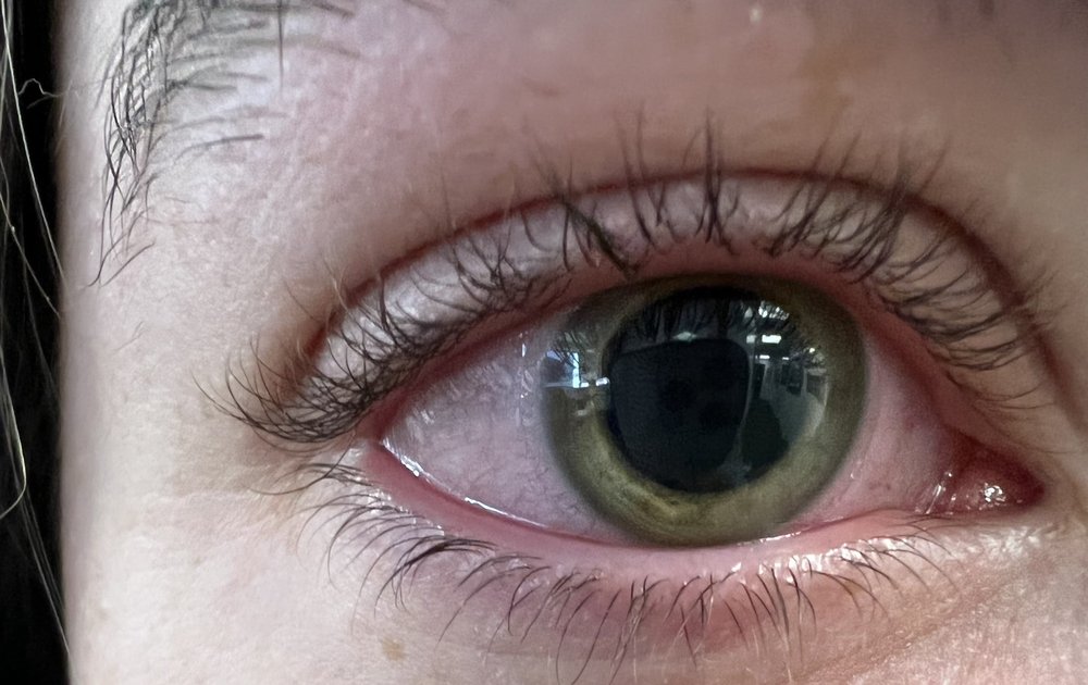 HINES SIGHT - Updated January 2026 - 17 Photos & 41 Reviews - 2480 S ...