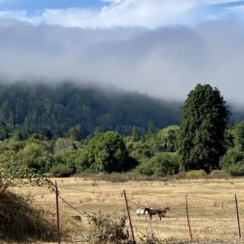 CASINI RANCH FAMILY CAMPGROUND - Updated July 2024 - 515 Photos & 525 ...