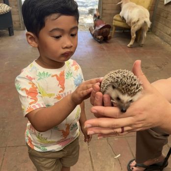 MIMI’Z PETTING ZOO - Updated April 2025 - 90 Photos & 11 Reviews ...