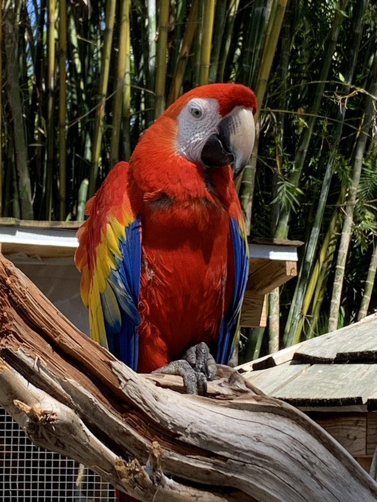 DELRAY GARDEN CENTER - Updated July 2025 - 104 Photos & 53 Reviews ...
