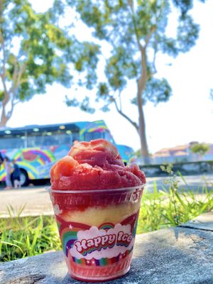 HAPPY ICE - Updated April 2024 - 613 Photos & 439 Reviews - 7324 ...