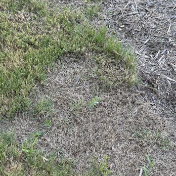 BLAND LANDSCAPING - Updated October 2025 - 13 Photos & 12 Reviews ...