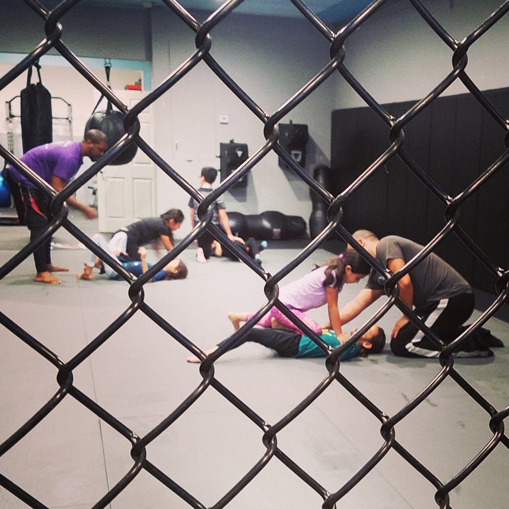 FIGHT SCIENCE MMA - 35 Photos & 21 Reviews - Brazilian Jiu-jitsu - 4713 ...