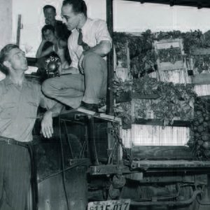 CALHOUN’S FARM STAND - 441 Grange Rd, Troy, New York - Fruits & Veggies ...