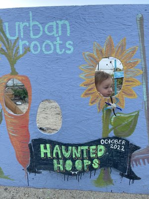 URBAN ROOTS - Updated September 2025 - 28 Photos & 14 Reviews - 1700 E ...
