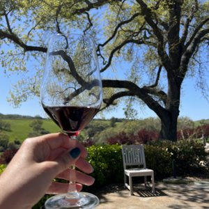 DENNER VINEYARDS - 188 Photos & 201 Reviews - 5414 Vineyard Dr, Paso ...