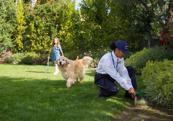 CLARK PEST CONTROL - Updated December 2025 - 52 Photos & 168 Reviews ...