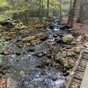 NEVERSINK RIVER UNIQUE AREA - 23 Photos - 754 Katrina Falls Rd, Rock ...