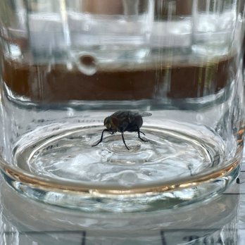 RAMULOSE RIDGE VINEYARDS - Updated October 2025 - 56 Photos & 41 ...