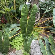 JESSE DURKO’S NURSERY - 91 Photos & 29 Reviews - Nurseries & Gardening ...