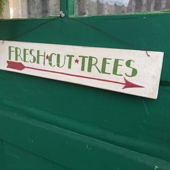 SANDONE CHRISTMAS TREES - Updated October 2025 - 15 Photos & 14 Reviews ...