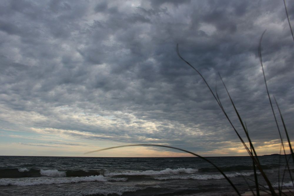 WHIHALA BEACH CO PARK - Updated June 2024 - 54 Photos & 25 Reviews ...