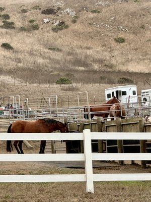 FIVE BROOKS - Updated July 2025 - 242 Photos & 110 Reviews - 2660 CA-1 ...