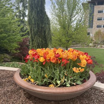 SCENTSY COMMONS - Updated December 2025 - 38 Photos & 10 Reviews - 2701 ...