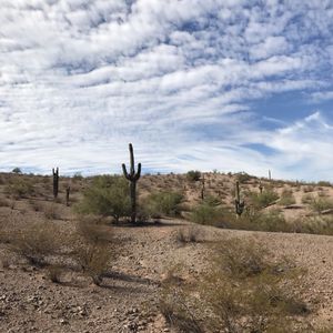 Papago Park - 313 Photos & 146 Reviews - Parks - 1000 N College Ave ...