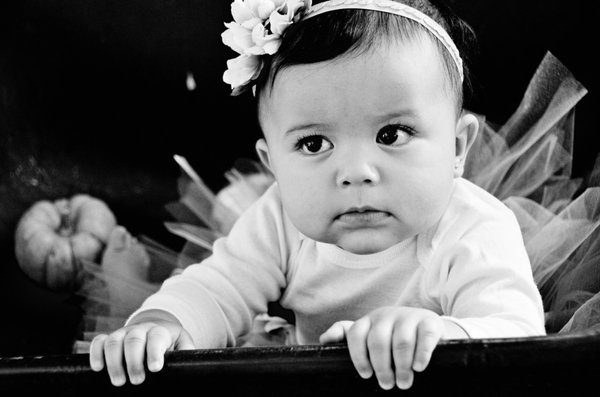 HANNAH CLONCH PHOTOGRAPHY - Request a Quote - 14 Photos - Twin Peaks ...