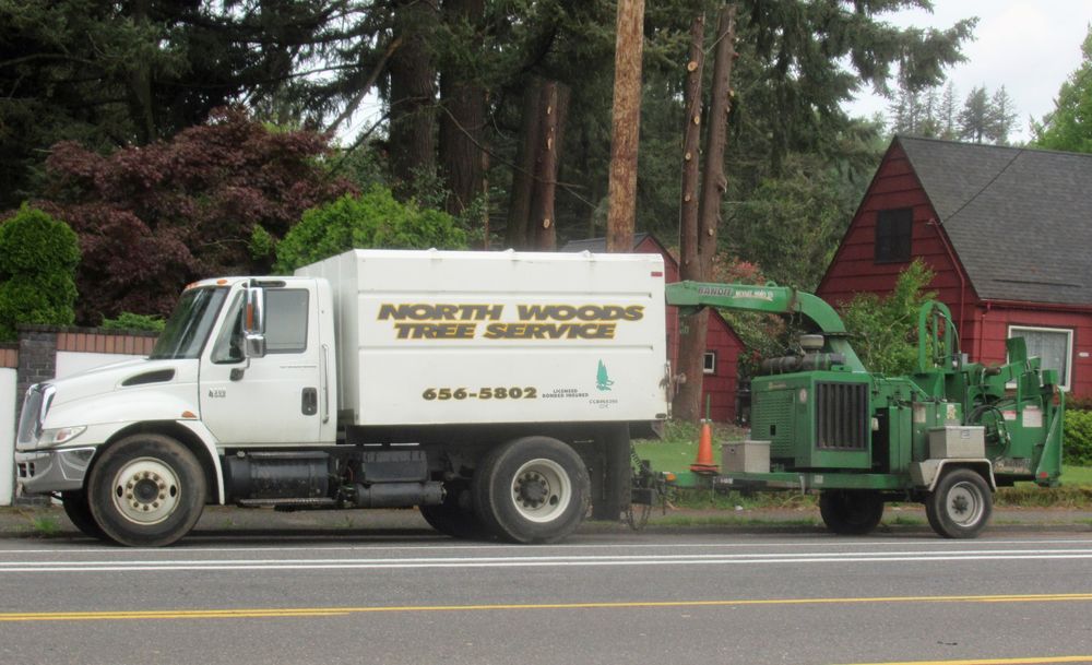 NORTH WOODS TREE SERVICE - Updated December 2025 - 21 Photos & 15 ...