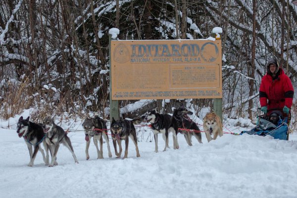 TEAM REDINGTON - Updated June 2025 - Wasilla, Alaska - Sledding - Phone ...