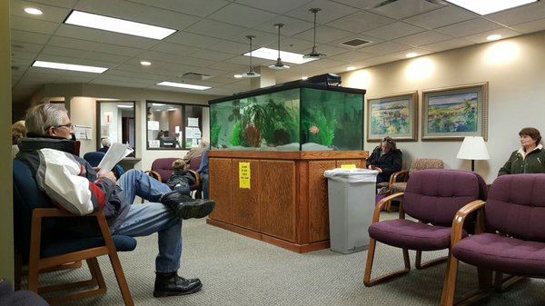 MID MICHIGAN ENT - Updated October 2025 - 30 Reviews - 1500 Abbot Rd ...