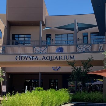 ARIZONA BOARDWALK - 84 Photos & 18 Reviews - 9500 E Via De Ventura ...