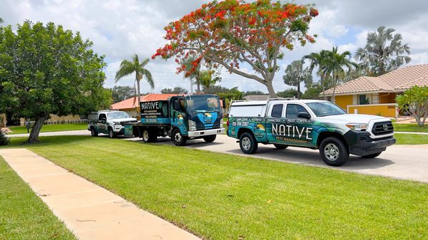 NATIVE PEST MANAGEMENT - Updated June 2026 - 115 Photos & 232 Reviews ...