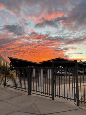 MILLENNIUM HIGH SCHOOL - Updated December 2025 - 16 Photos - 14802 W ...