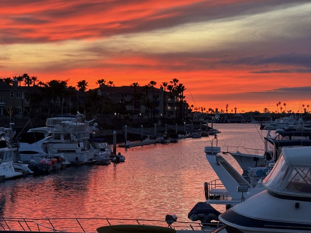 AMY HALL - Updated March 2025 - 14 Photos - 2831 N. Ventura Road ...