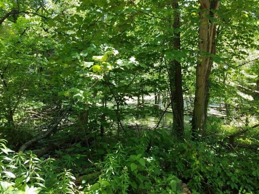 TRIPLE CREEK - Updated October 2025 - 2700 Buell Rd, Cincinnati, Ohio ...