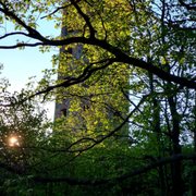 ENGER TOWER PARK AND GARDENS - 130 Photos & 39 Reviews - 16th Ave W ...