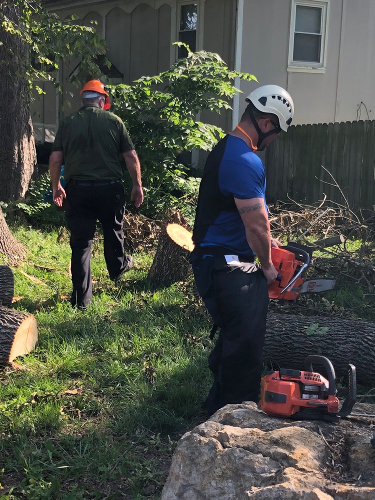 CANOPY PRO TREE CARE - Clinton, Missouri - Tree Services - Phone Number ...