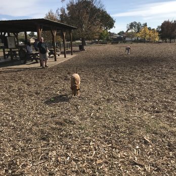 SHERWOOD DOG PARK - Updated December 2025 - 69 Photos & 34 Reviews ...