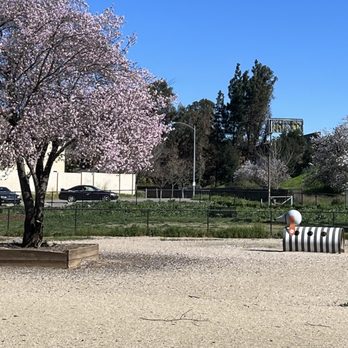 SELMA OLINDER PARK - Updated January 2026 - 45 Photos & 15 Reviews ...