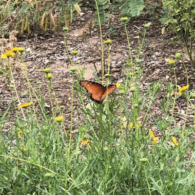 TYE PRESTON MEMORIAL LIBRARY - Updated October 2025 - 14 Photos - 16311 ...