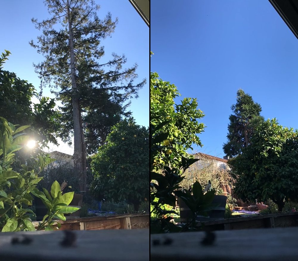 M & M TREE SERVICE - Updated December 2025 - 62 Photos & 109 Reviews ...