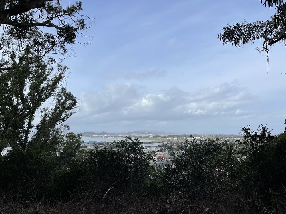 ALBANY HILL PARK - Updated May 2026 - 73 Photos & 27 Reviews - 700 Taft ...