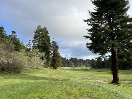 EUREKA GOLF COURSE - Updated August 2025 - 11 Photos - 4750 Fairway Dr ...