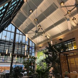 AVP - ALTA VIA PIZZERIA - Updated May 2026 - 421 Photos & 170 Reviews ...