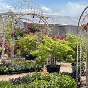 PLANTS OF THE SOUTHWEST - 23 Photos & 23 Reviews - 6680 4th St NW ...