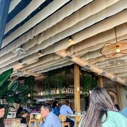 WAVERLY - Updated January 2026 - 1689 Photos & 1036 Reviews - 2005 San ...