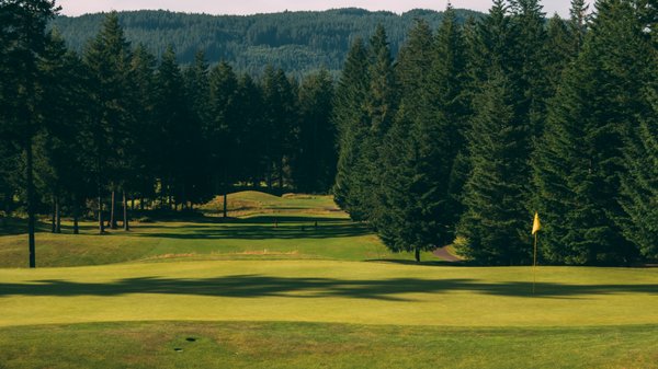 GOLD MOUNTAIN GOLF CLUB - 47 Photos & 56 Reviews - 7261 W Belfair ...
